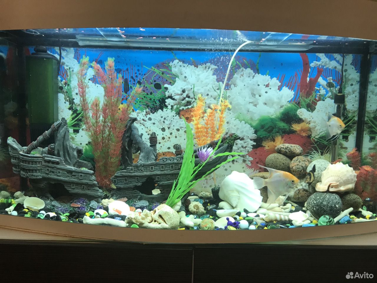 Продам аквариум и аксессуары к нему