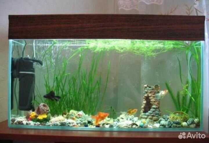 Аквариумы 40л,50л +оборудование+рыбки