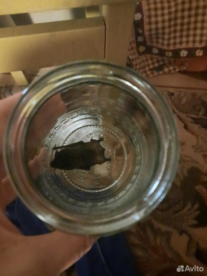 Летучая мышка