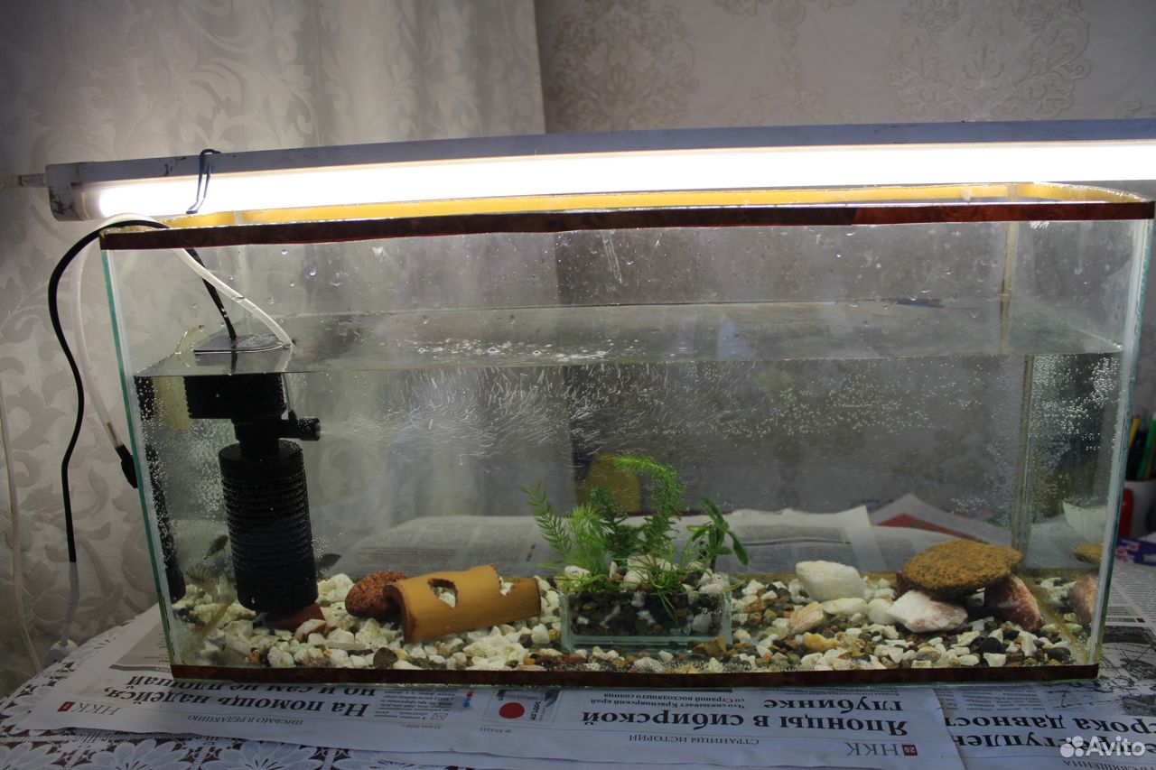 Аквариум(37л) 20на30на62см