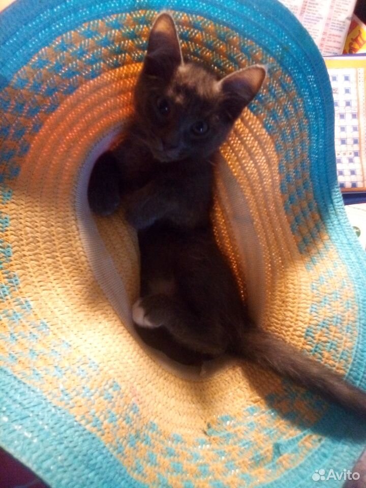 Маленький медвежонок