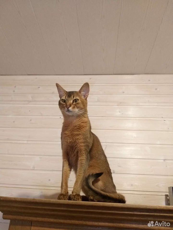 Готовый производитель