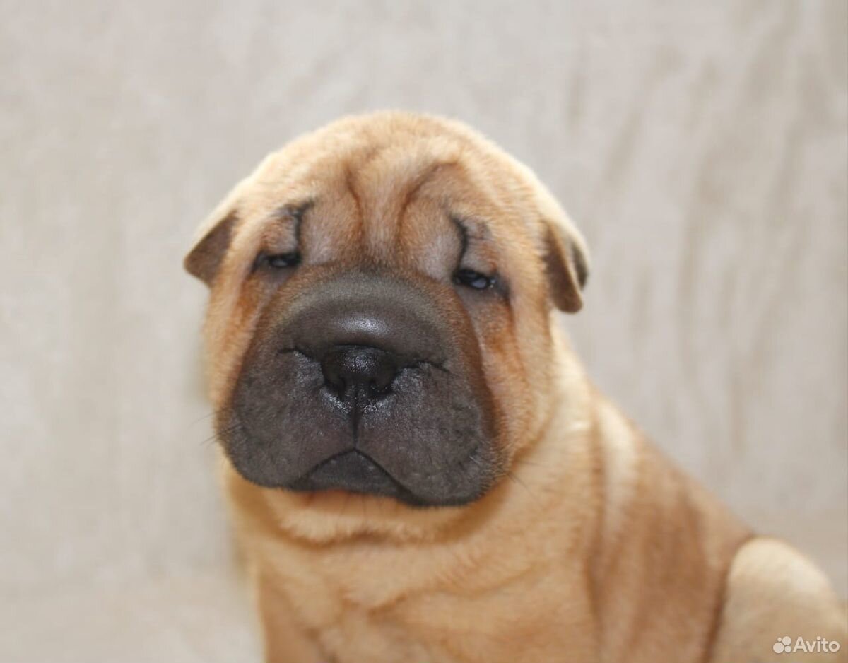 Яркий мальчик красавчик