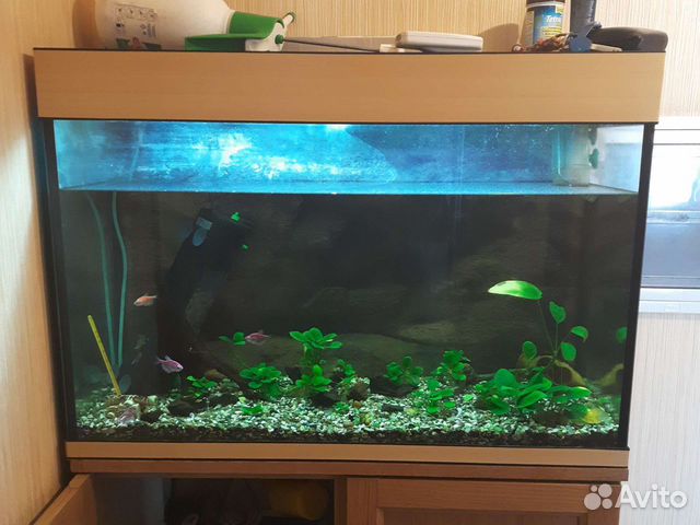 Аквариум 120 литров