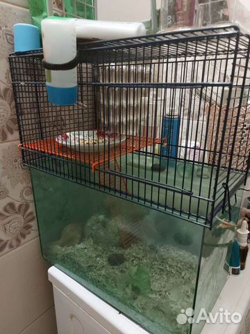 Клетка с грузунами