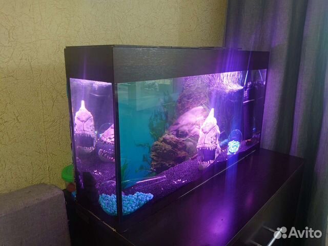 Аквариум с рыбками