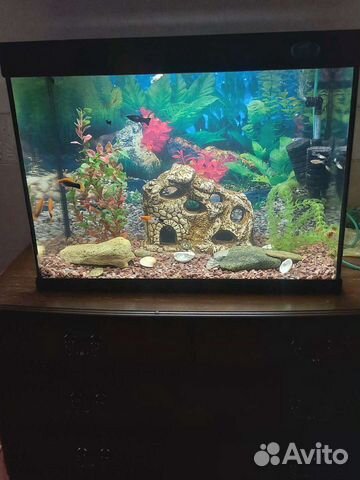 Аквариум с рыбками полный комплект