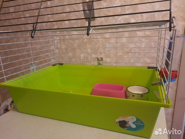 Продам крысу 12 мес +клетка