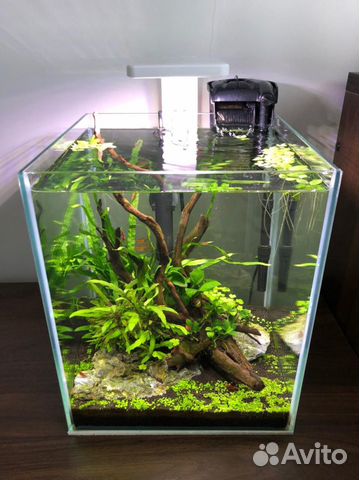 Аквариум aquael Shrimp Set Smart plant II 19 л