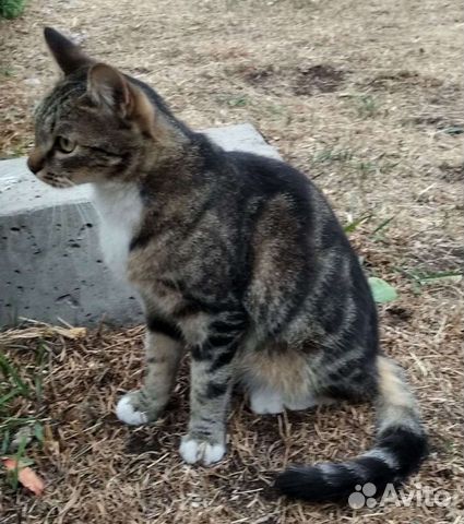 Кузя смышлëный мальчик