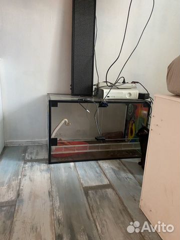 Змея с серпентарием