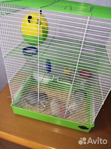 Крысята дамбо вместе с клеткой