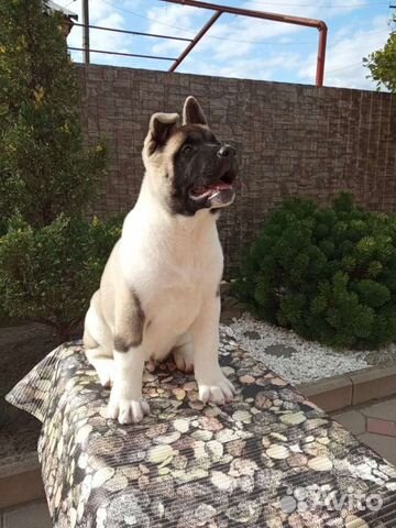 Брутальный парень