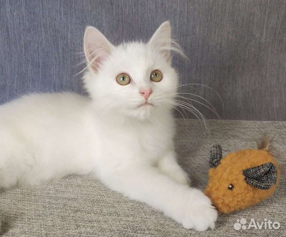 Уникальная девочка ищет дом