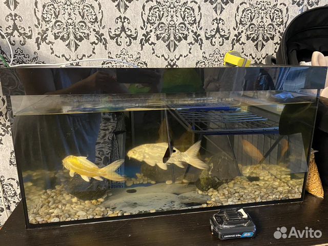 Аквариум 120л