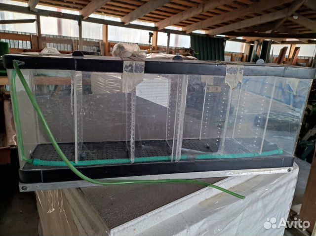 Аквариум для мальков (разводня)