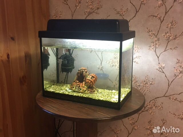 Аквариум с рыбками