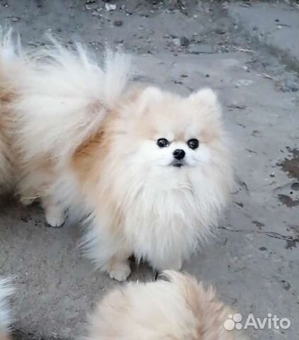 Девочка 5 лет