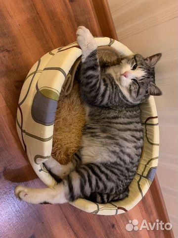 Марсик