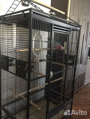 Какаду розовый с клеткой