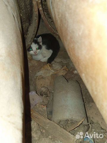 Ищу неравнодушных