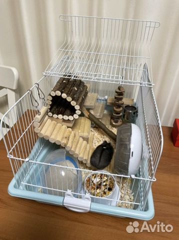 Джунгарские хомячки с клеткой