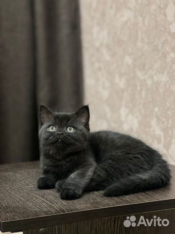 Британская