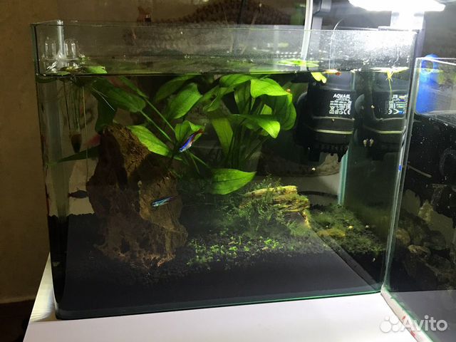 Аквариумы 10 и 15 литров