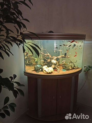 Аквариум Aquatlantis