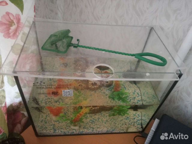 Аквариум с рыбками