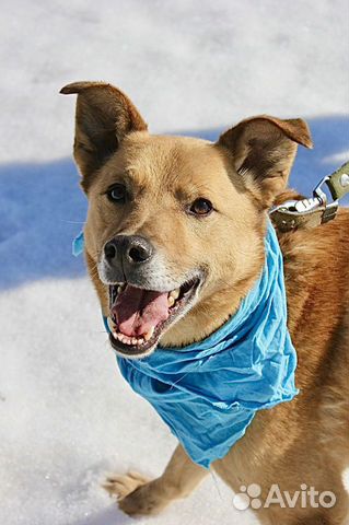 Сколько мне осталось