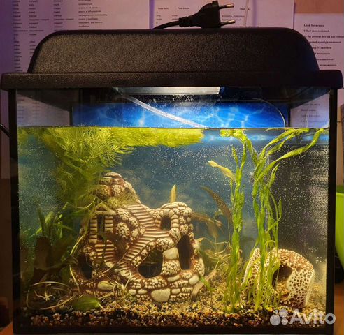 Аквариум