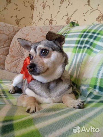 Мелкая очень хорошая девочка