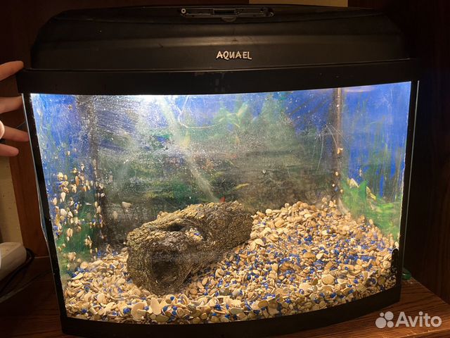Аквариум 50-60л