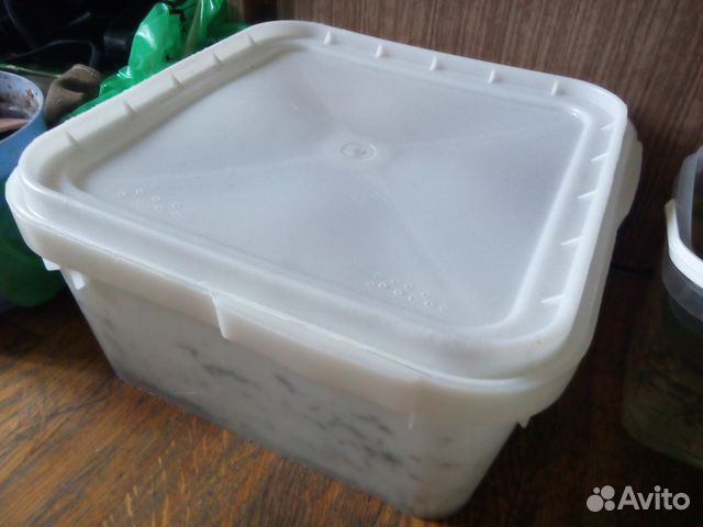 Черви калифорнийские