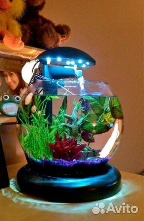 Аквариумы