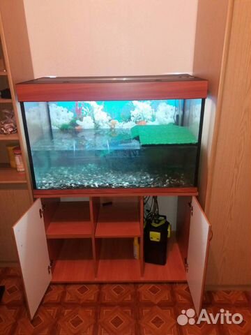 Нов. черепашник 101*51*66h + тумба. Бесплат. доста