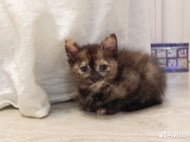 Потрясающая малышка самым лучшим людям в мире
