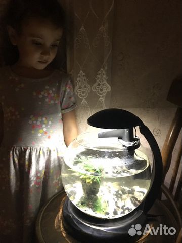 Продаём аквариум с рыбками