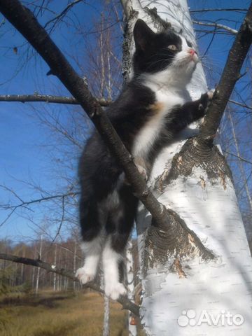 Отрываем от сердца