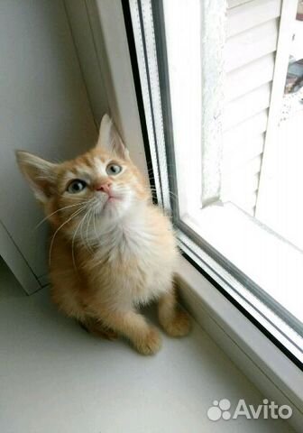 Разбирайте малышню