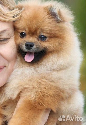 Солнышко в дом