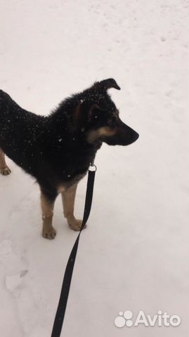 Лера ищет дом