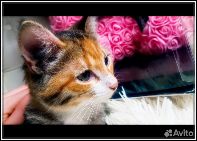 Цветочек