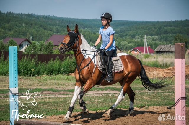 Продам лошадь