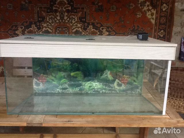 Аквариум
