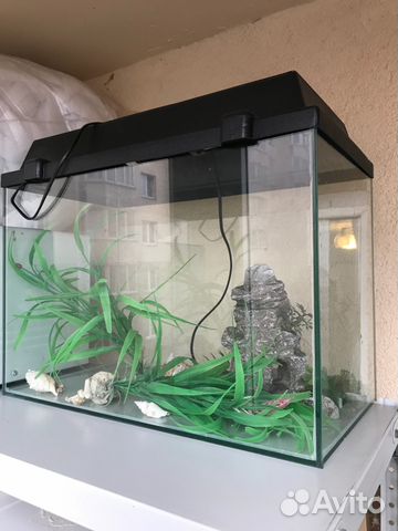 Новый аквариум + немного мелочевки к нему