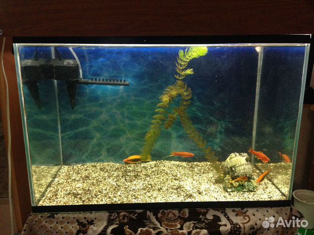 Аквариум 80 литров с рыбками
