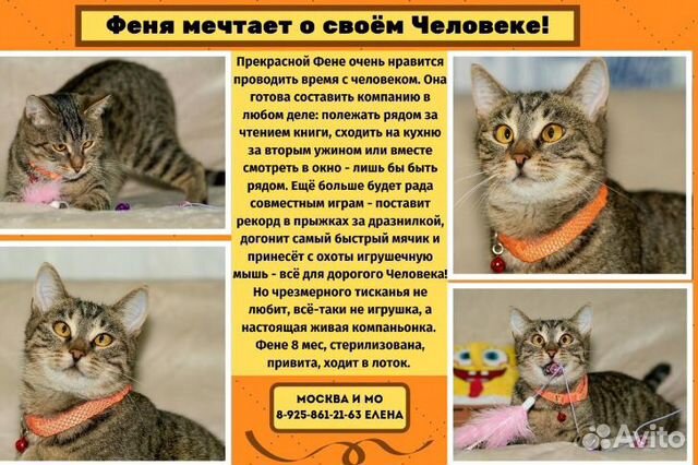 Ищем самые заботливые ручки