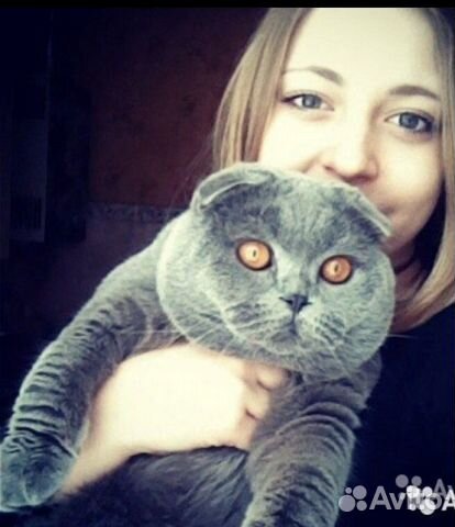 Вязка